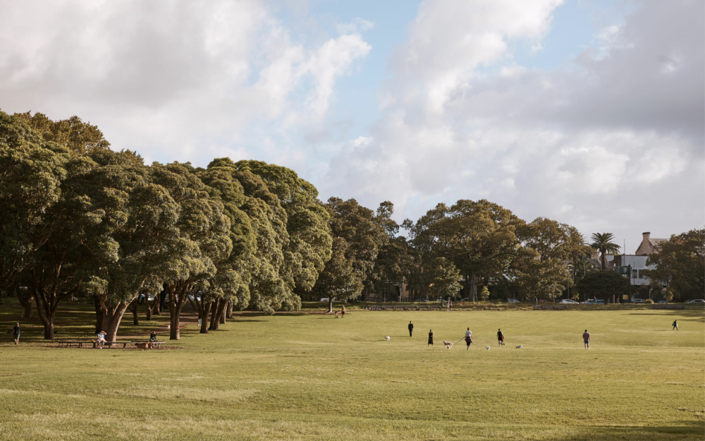 Profile - Moffitt.Moffitt.