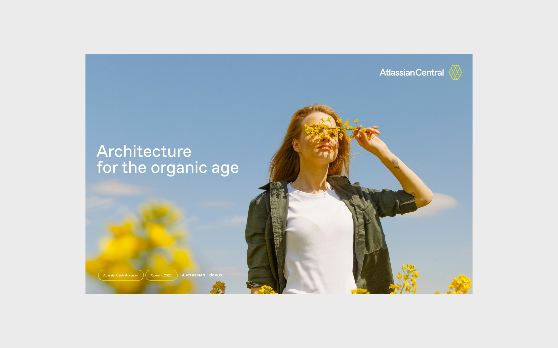 Atlassian Central - Moffitt.Moffitt.